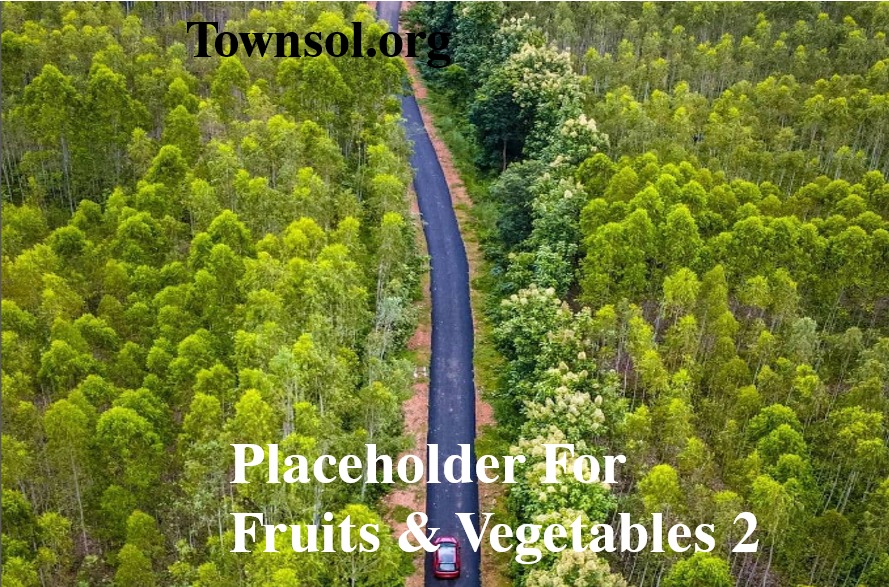 Fruits & Vegetables 2 – Kolhapur